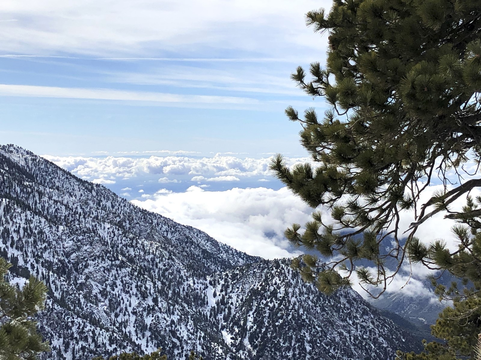 THE VIEWS at Mt. Baldy, L.A.’s easy-access winter wonderland, make it ...