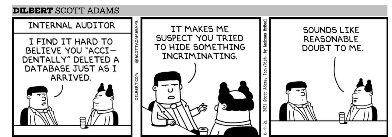 Internal Audit Cartoon