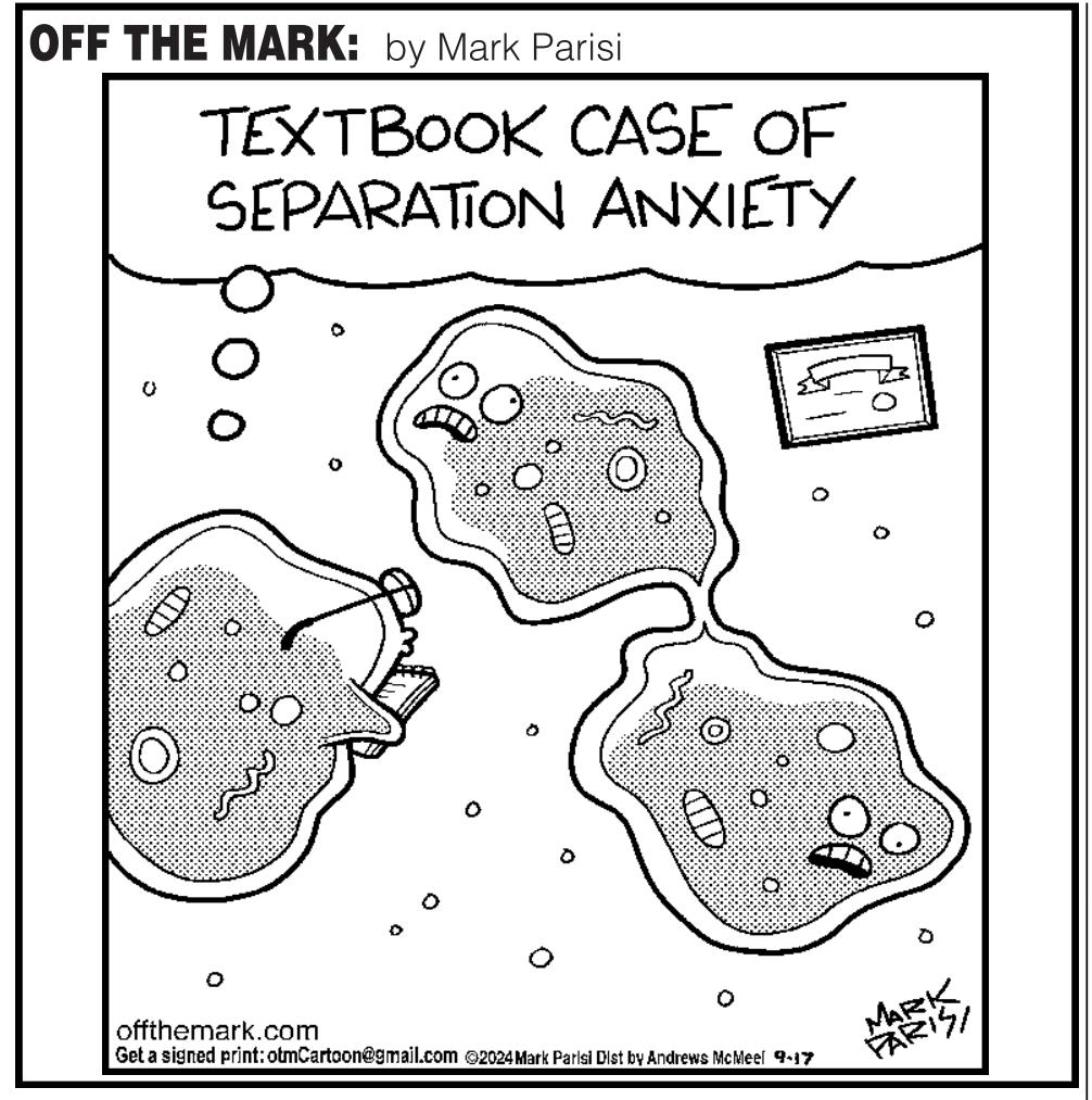 Cell Division Comic
