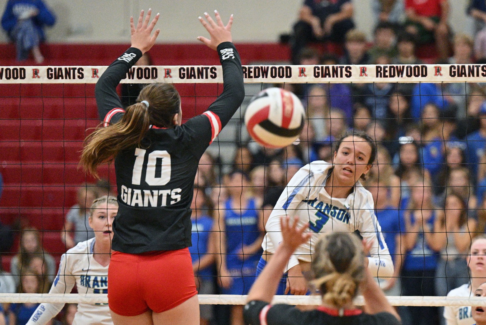 Back on top - Marin Independent Journal