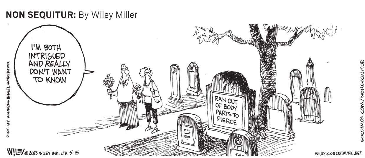 Non Sequitur - Comics