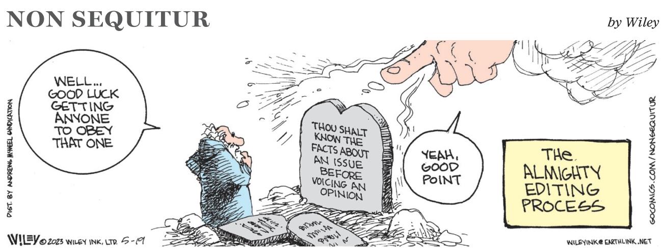 Non Sequitur - Comics